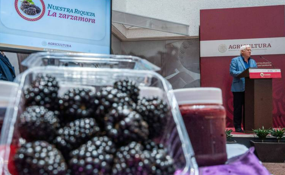 Zarzamoras: Del Campo Mexicano al Mundo | Aduanas y Comercio